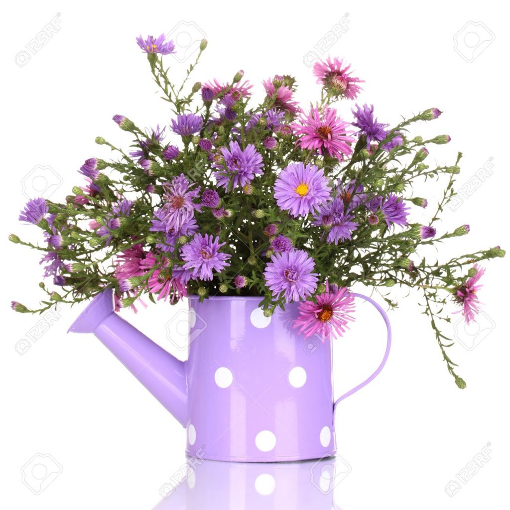 Fleurs photos gratuites - fleur de passion