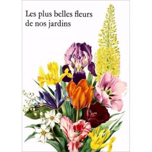 Nom des fleurs avec photos - fleur de passion