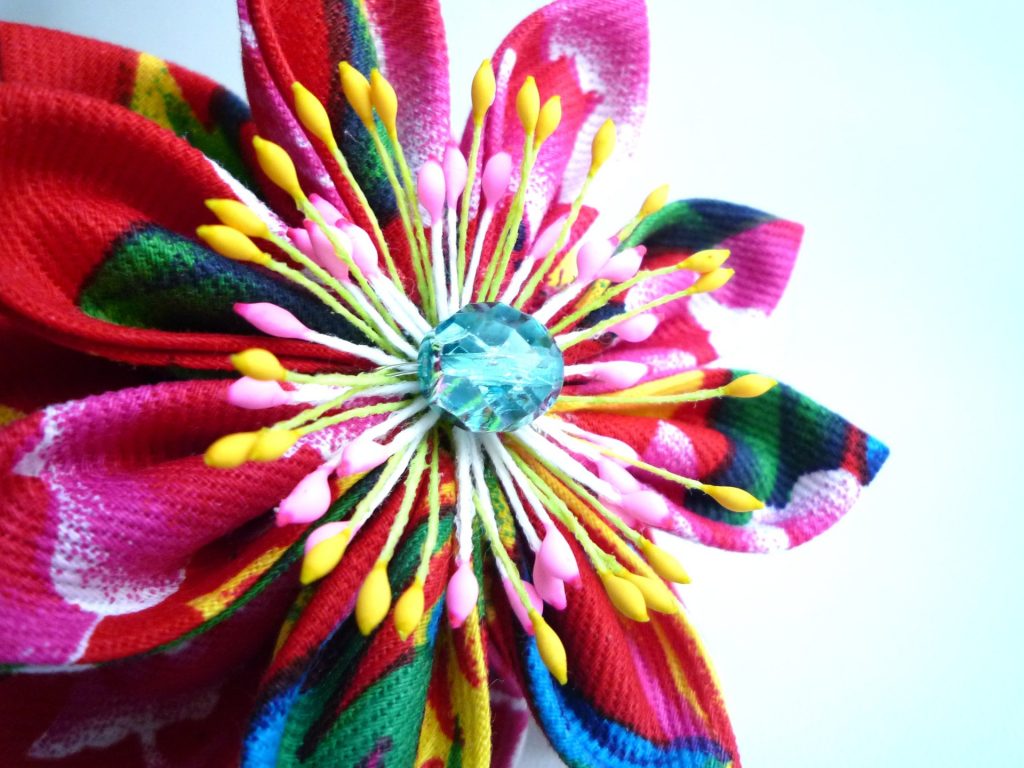 Photos de fleurs de nos jardins - fleur de passion