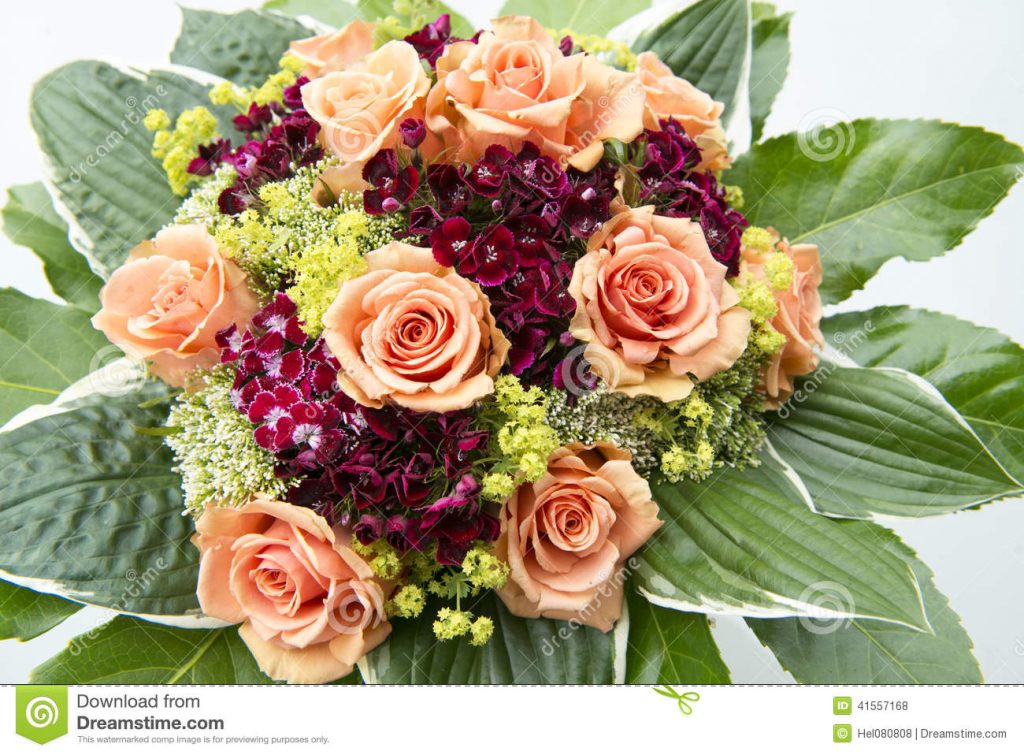 Noms fleurs avec photo - fleur de passion