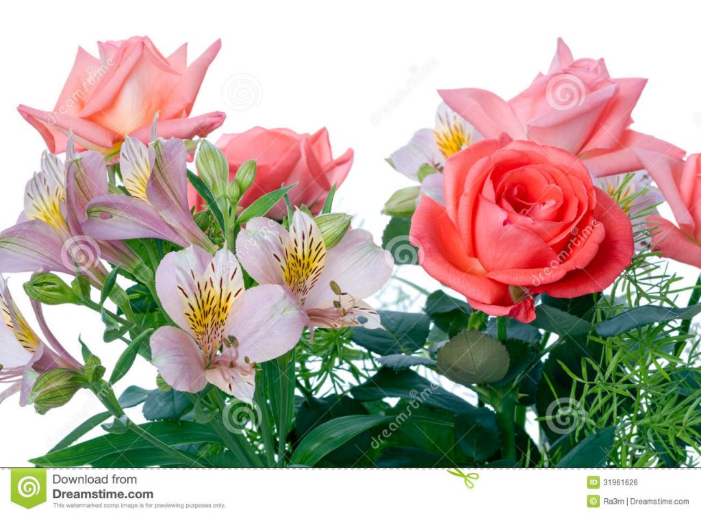 Photos gratuites fleurs - fleur de passion