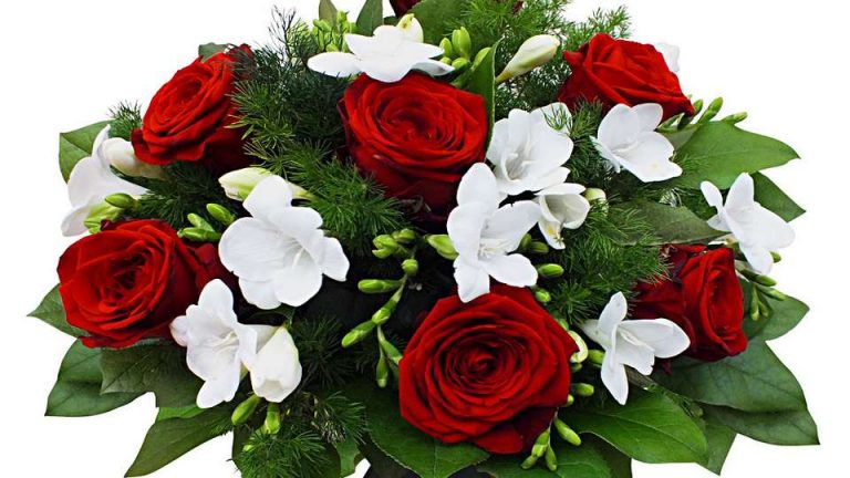 Boki fleur rouge - fleur de passion