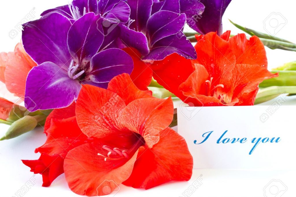 Photo fleurs d amour gratuit - fleur de passion