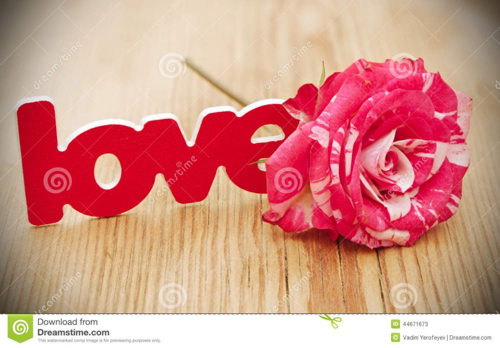 Photo fleurs d amour gratuit - fleur de passion