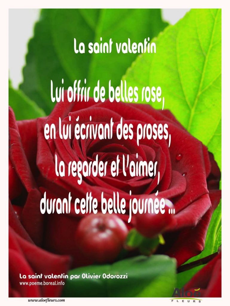 Image des roses d amour - fleur de passion