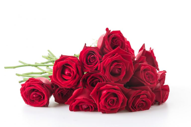 Bouquet de rose d amour - fleur de passion