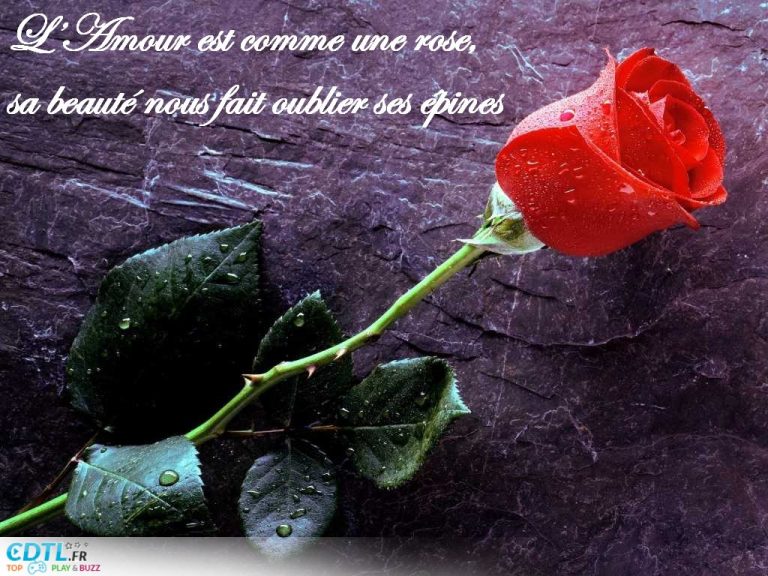 Symbole d amour éternel - fleur de passion