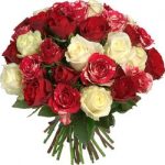 Image des roses d amour - fleur de passion