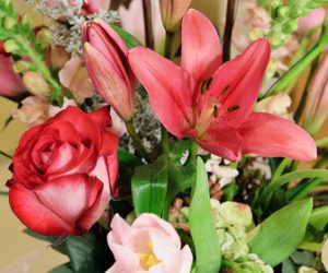 Fleur de l amitié - fleur de passion