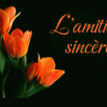 Fleur symbole de l amitié - fleur de passion