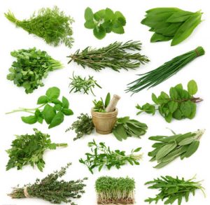 Arbuste aromatique liste - fleur de passion