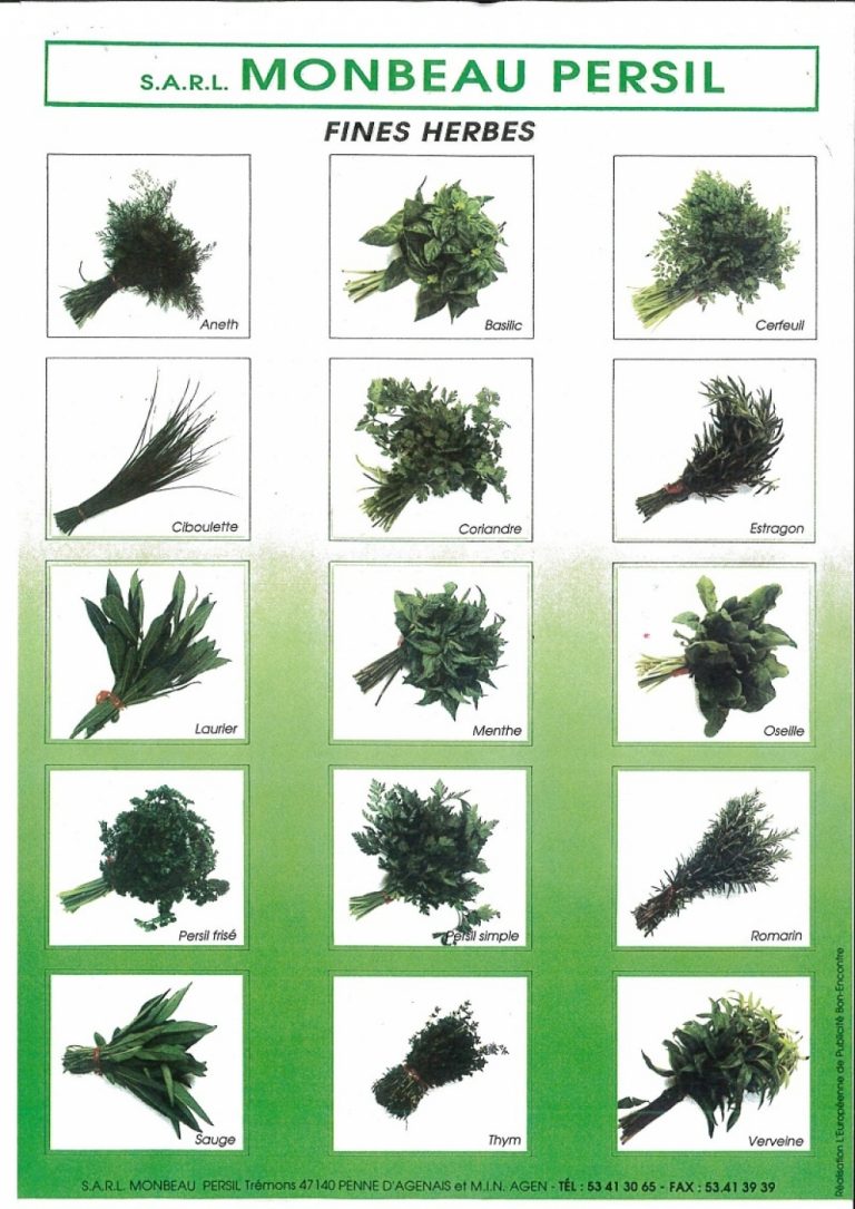 Arbuste aromatique liste - fleur de passion