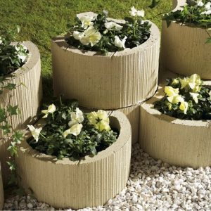 Plante pour talus en pente - fleur de passion